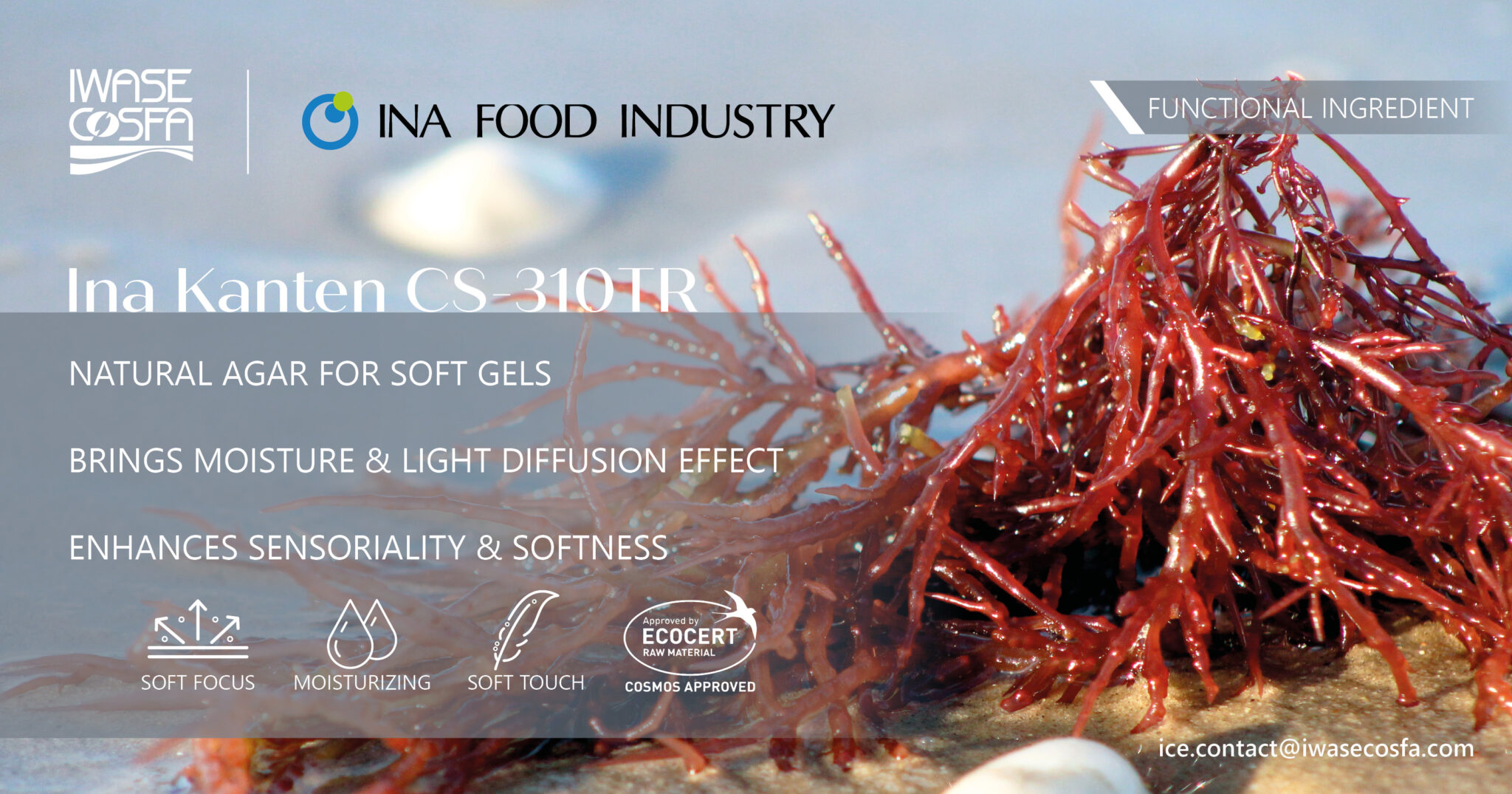 PERSONAL CARE - IWASE COSFA EUROPE